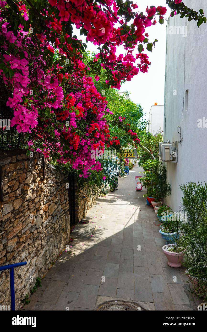 The popular holiday destination of Bodrum, Mugla Province, Turkey Stock ...