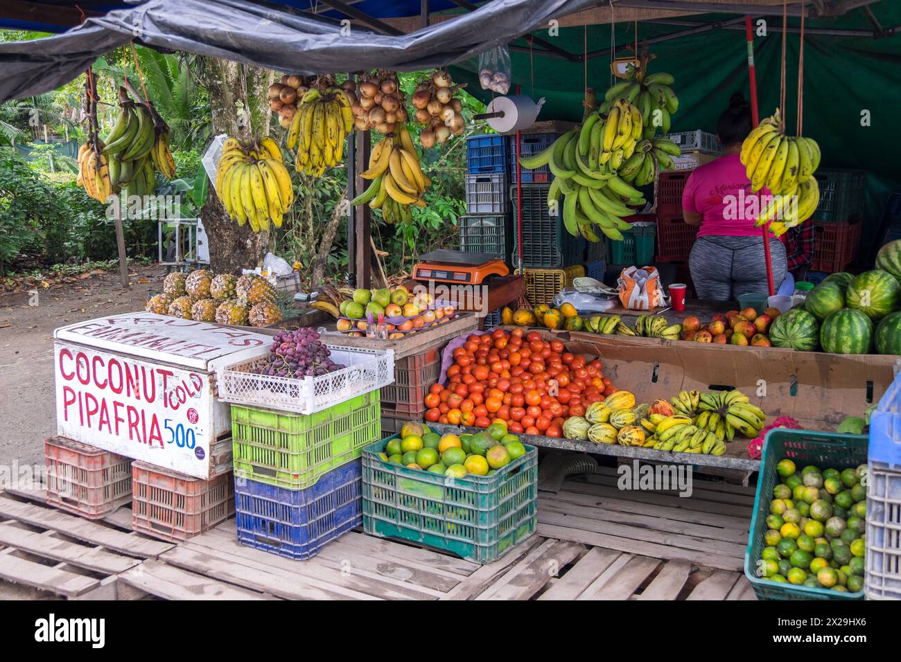 Fruit and vegetable stand in the urban center of Puerto Viejo de ...
