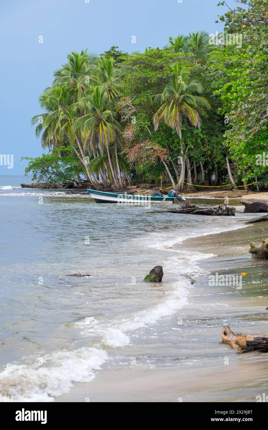 Landscape on Manzanillo beach in Costa Rica Stock Photo - Alamy