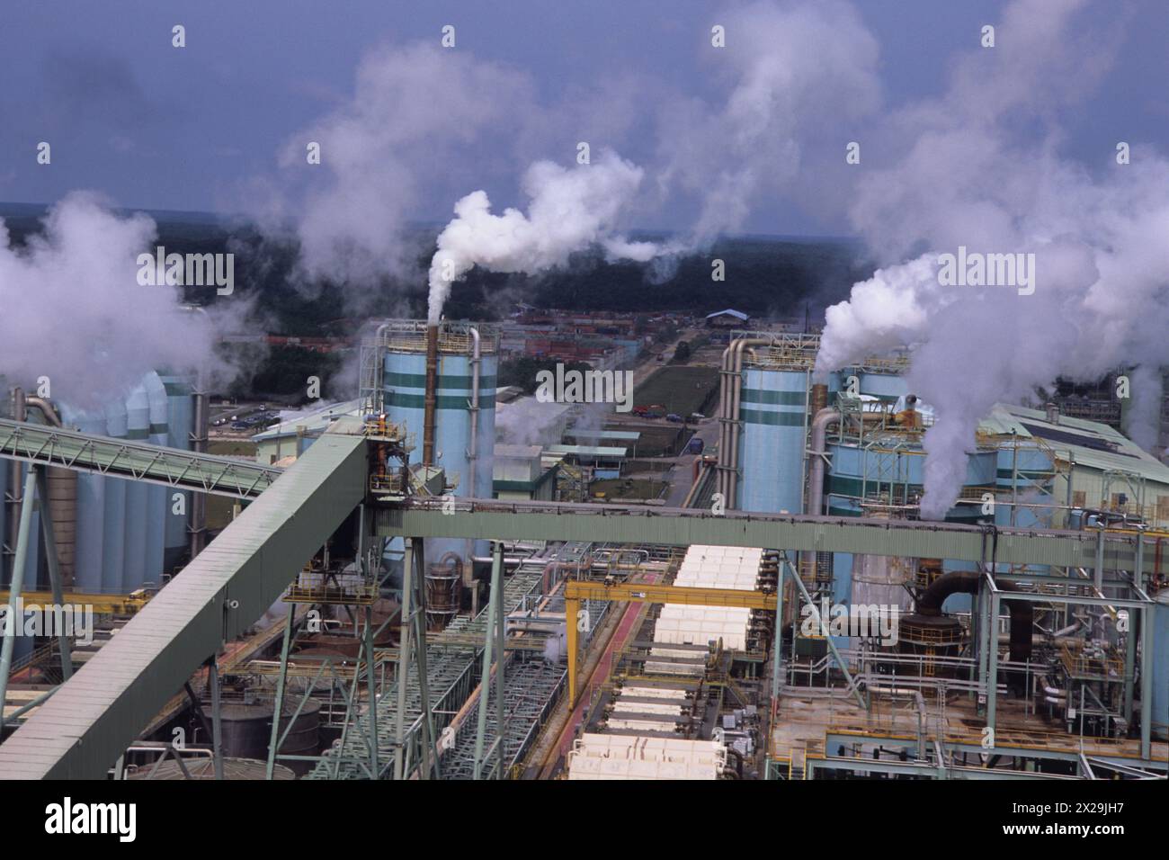 Riau pulp paper mill hi-res stock photography and images - Alamy
