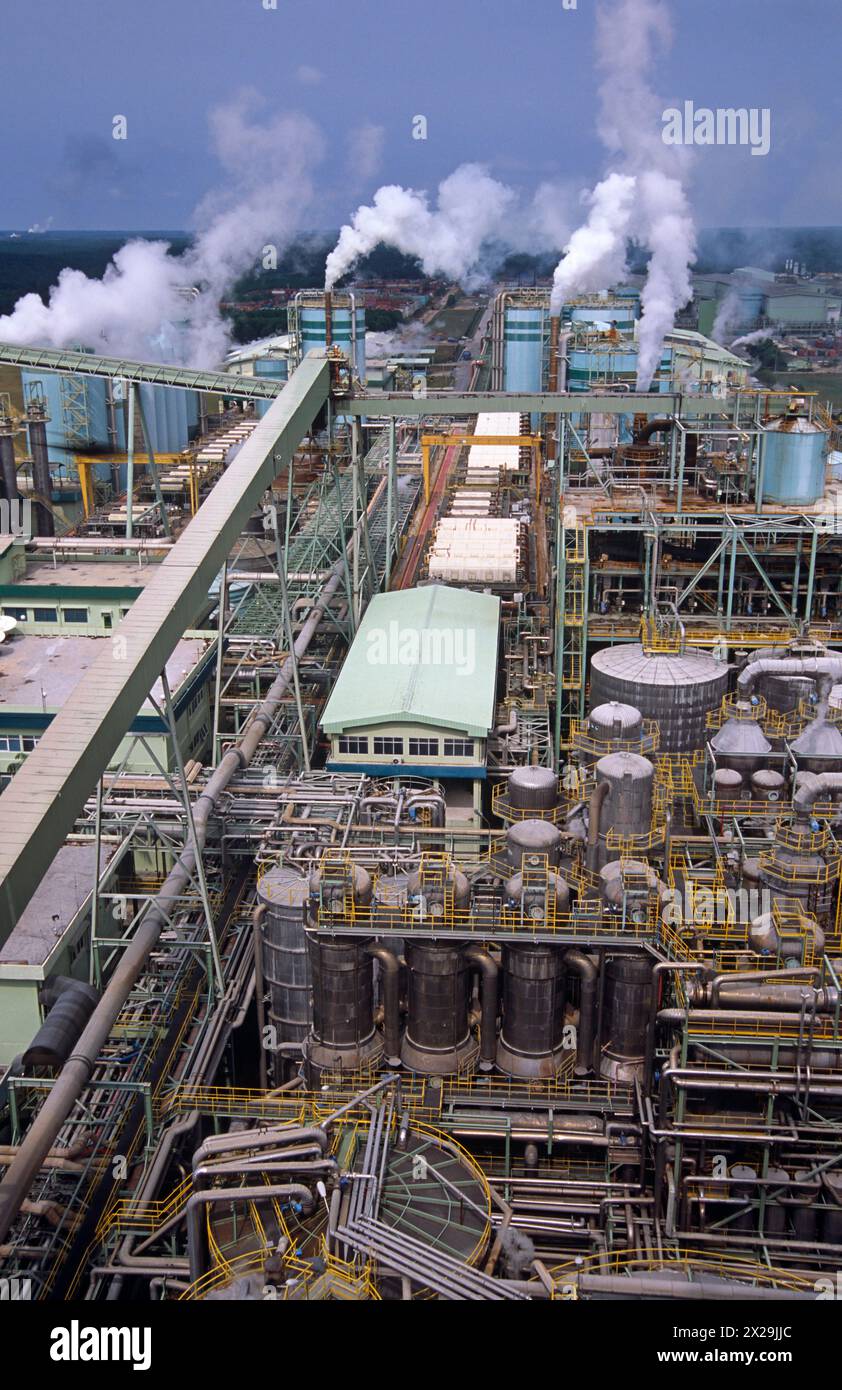 Pulp and paper mill, Riau, near Pekanbaru, Sumatra, Indonesia Stock ...
