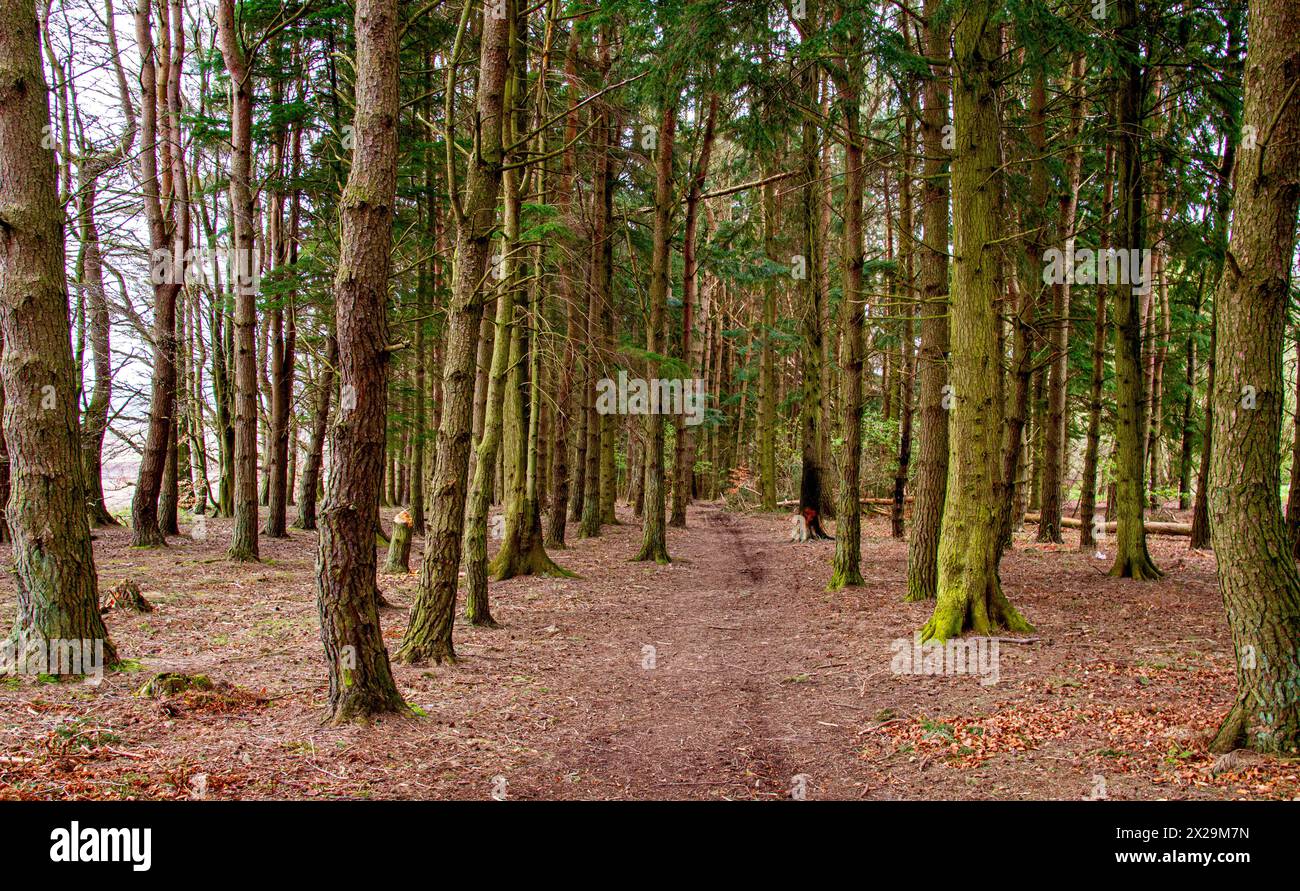 Dundee, Tayside, Scotland, UK. 21st Apr, 2024. UK Weather: Cloudy and ...