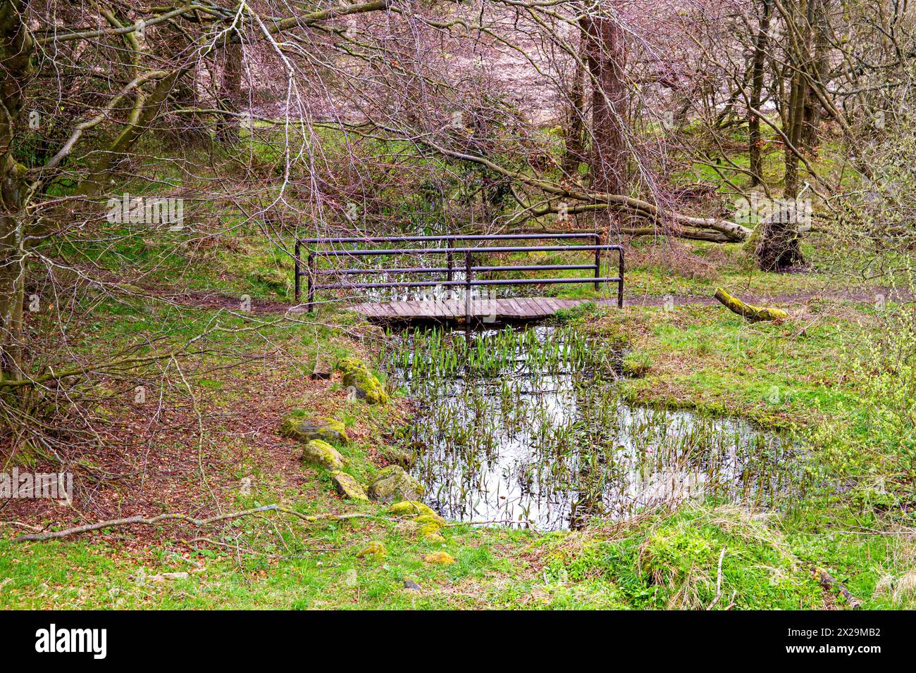 Dundee, Tayside, Scotland, UK. 21st Apr, 2024. UK Weather: Cloudy and ...