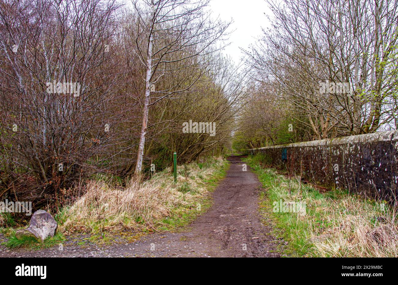 Dundee, Tayside, Scotland, UK. 21st Apr, 2024. UK Weather: Cloudy and ...