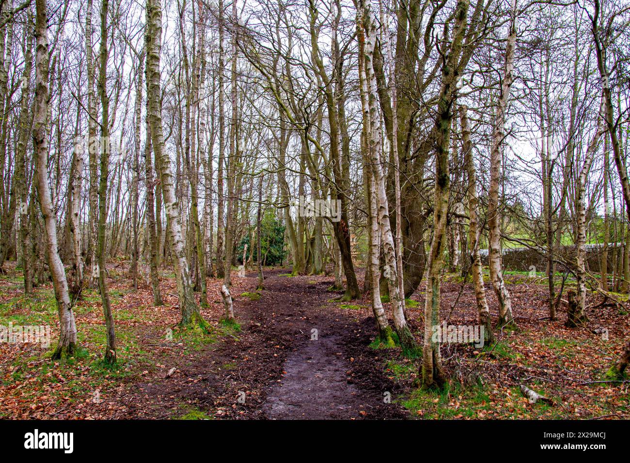 Dundee, Tayside, Scotland, UK. 21st Apr, 2024. UK Weather: Cloudy and ...