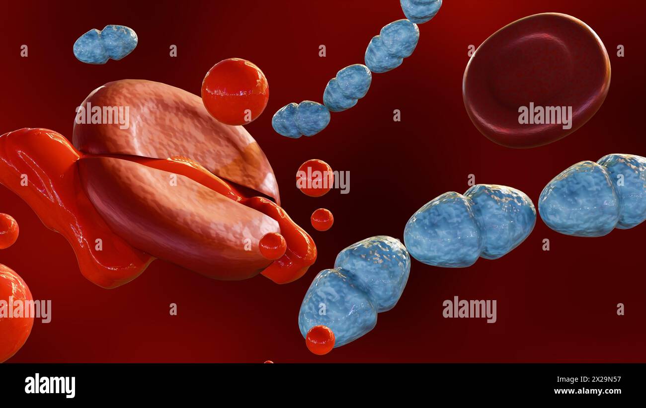 3d rendering of Septicemia, or sepsis, is the clinical name for blood ...