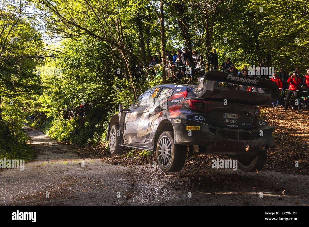 33 EVANS Elfyn, MARTIN Scott, Toyota GR Yaris Rally1, action during the ...