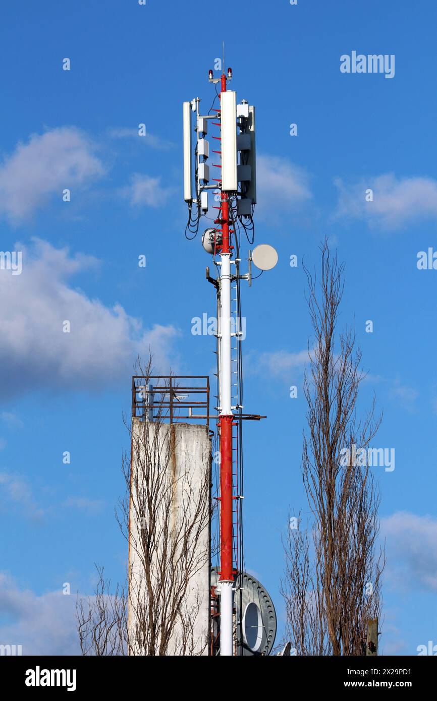 Various cellular shapes hi-res stock photography and images - Alamy