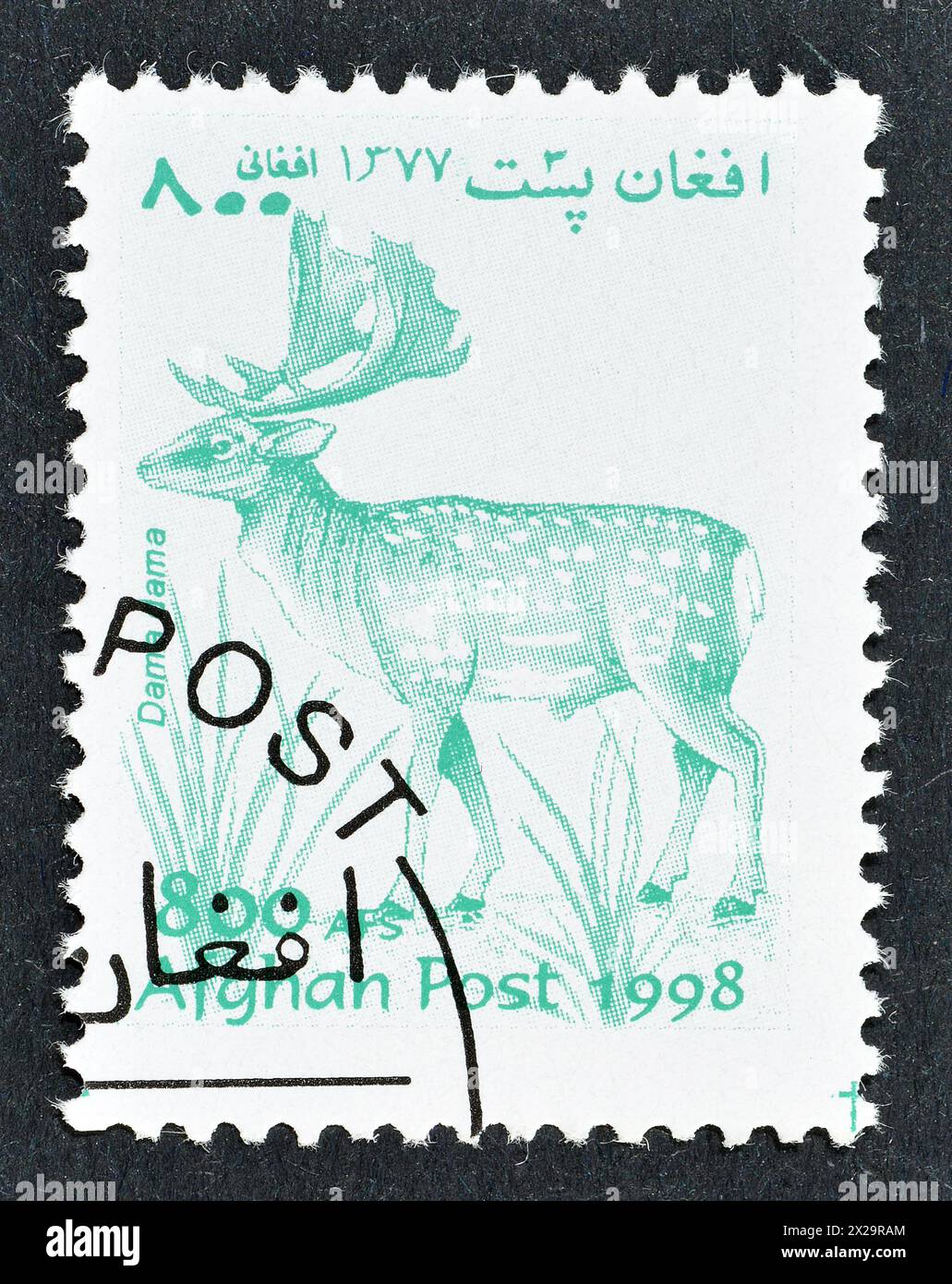Cancelled postage stamp printed by Afghanistan, that shows Common ...