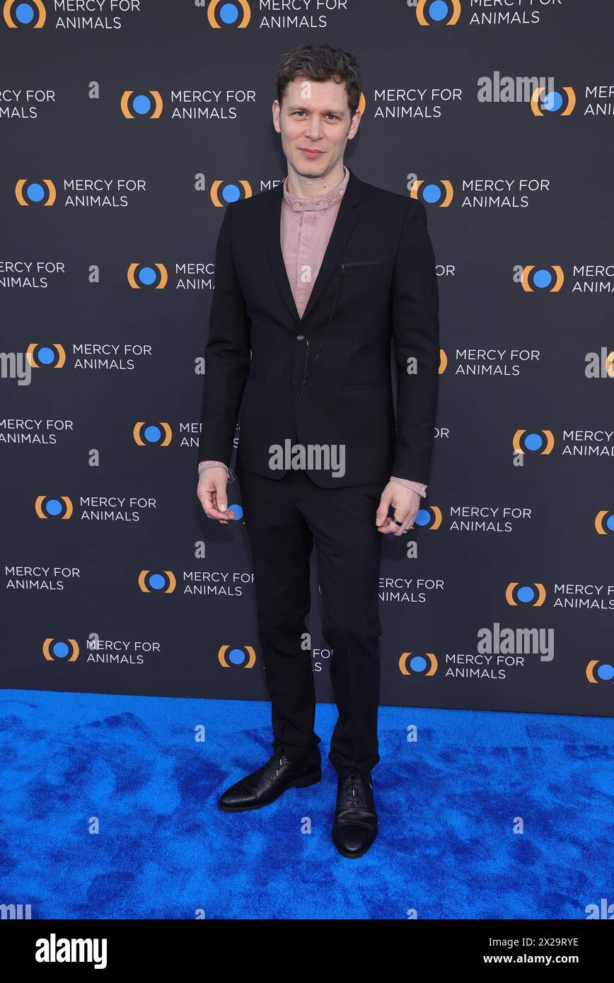 LOS ANGELES, CA - APRIL 20: Joseph Morgan at The Mercy for Animals 25th ...