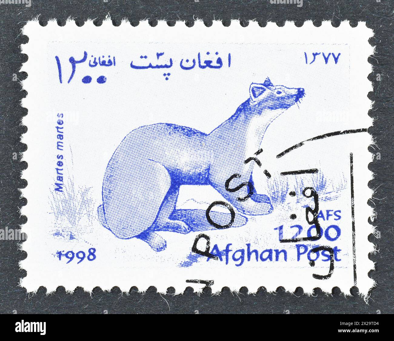 Cancelled postage stamp printed by Afghanistan, that shows Pine Marten ...