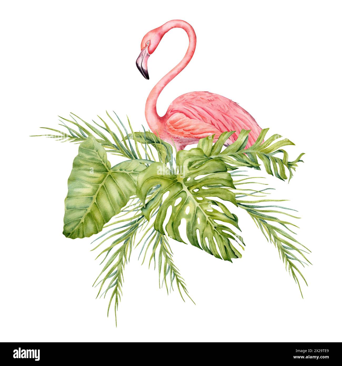 Pink flamingo bird with banana and palm tree branches with monstera ...