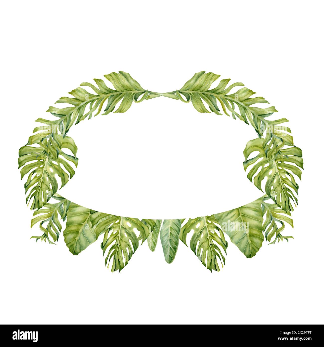 Tropical green leaves frame Cut Out Stock Images & Pictures - Alamy