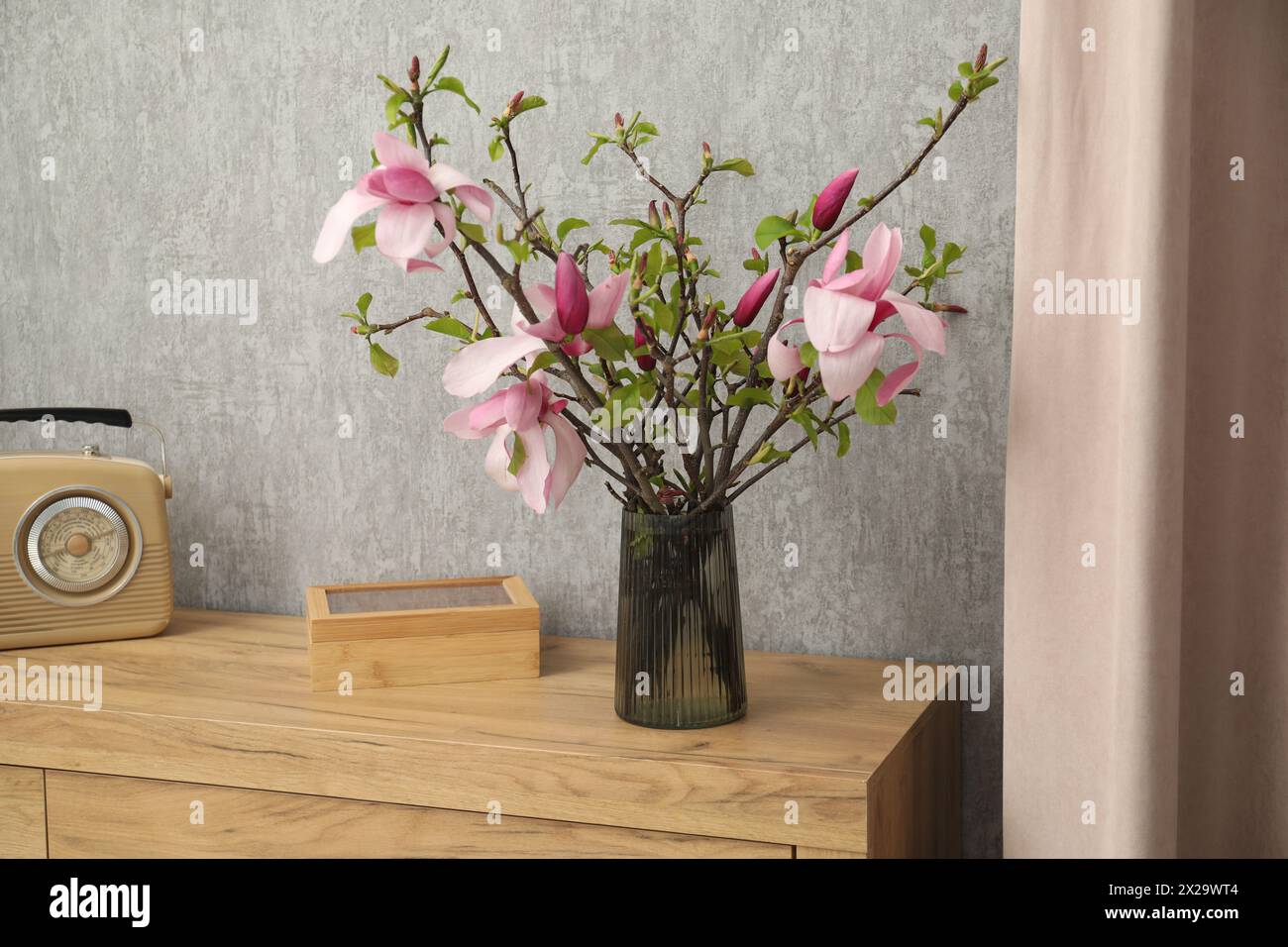Magnolia tree branches in vase and retro radio receiver on wooden chest ...