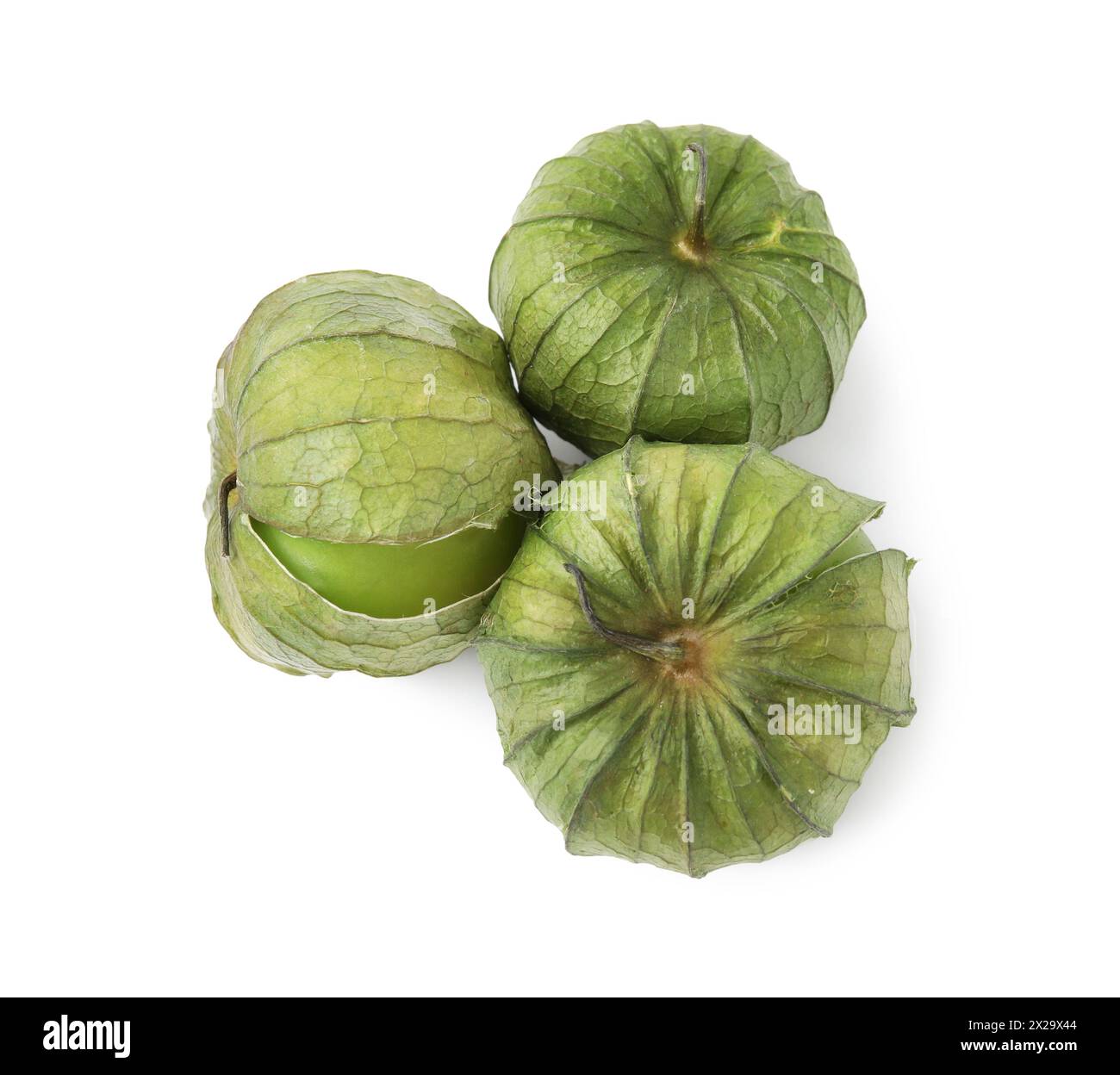 Fresh green tomatillos with husk isolated on white, top view Stock ...