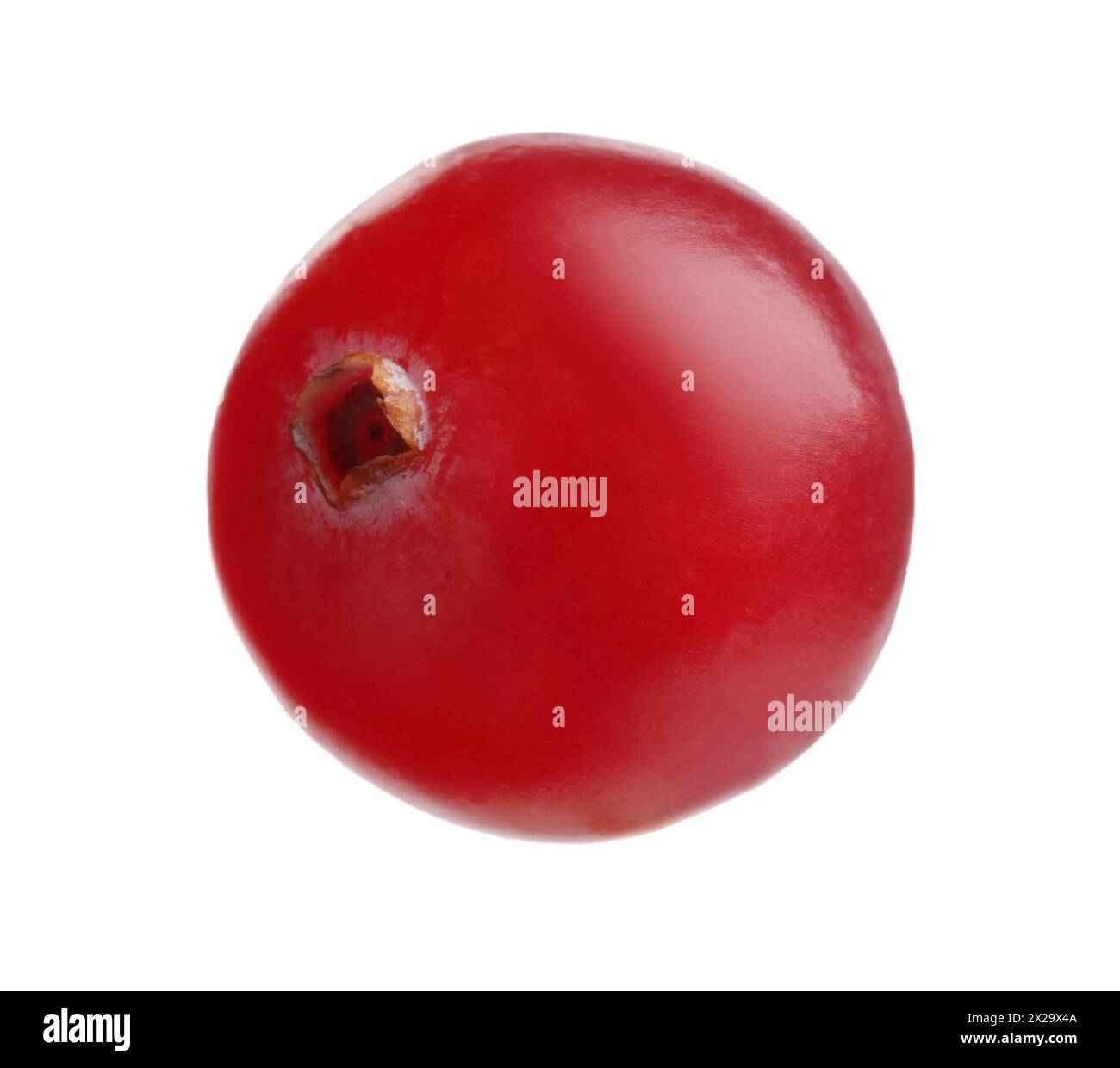 Cranberry flavor Cut Out Stock Images & Pictures - Alamy