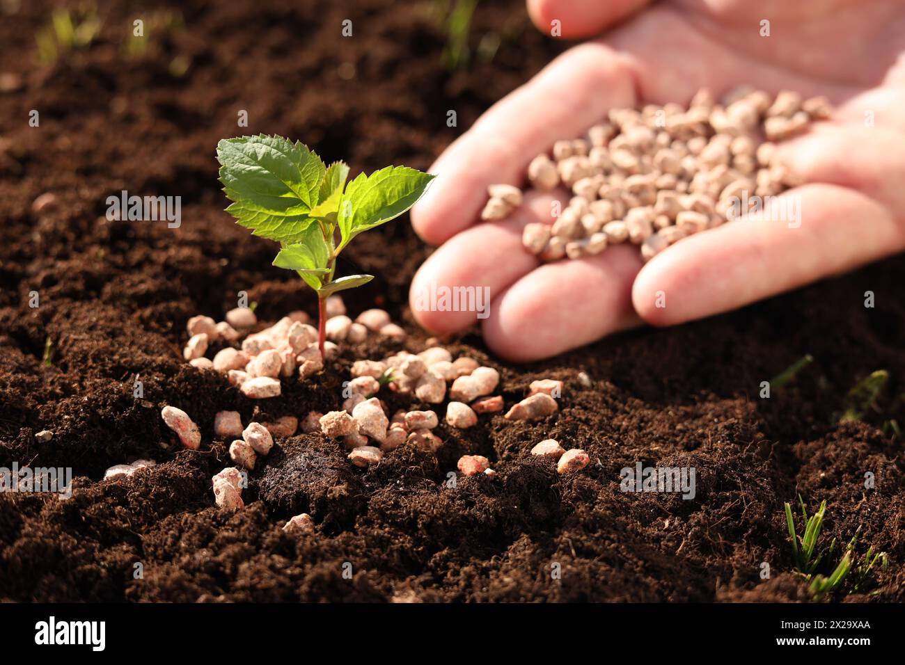 Fertilizing yard hi-res stock photography and images - Alamy