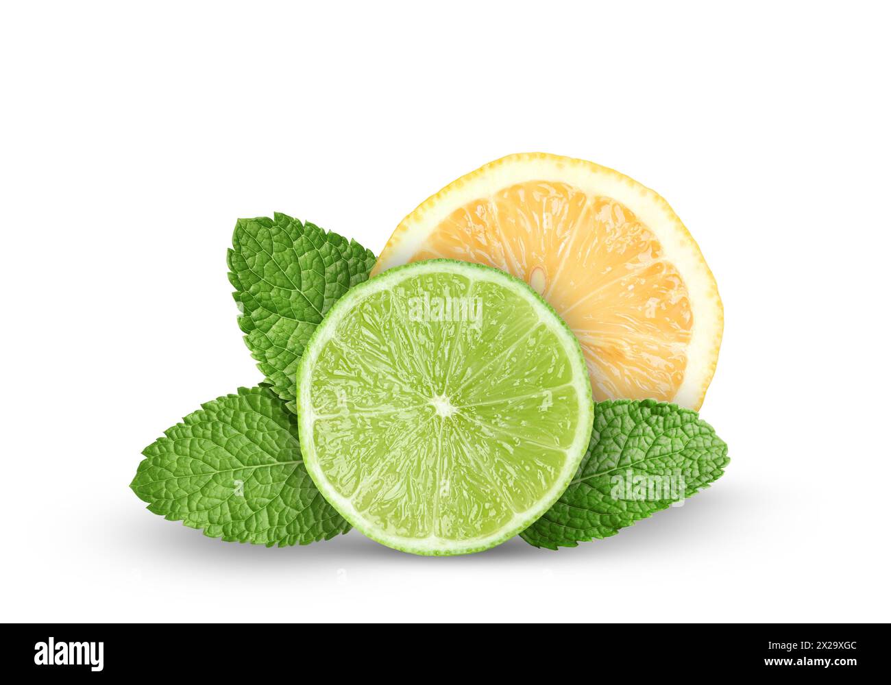 Two lemon leaves Cut Out Stock Images & Pictures - Alamy