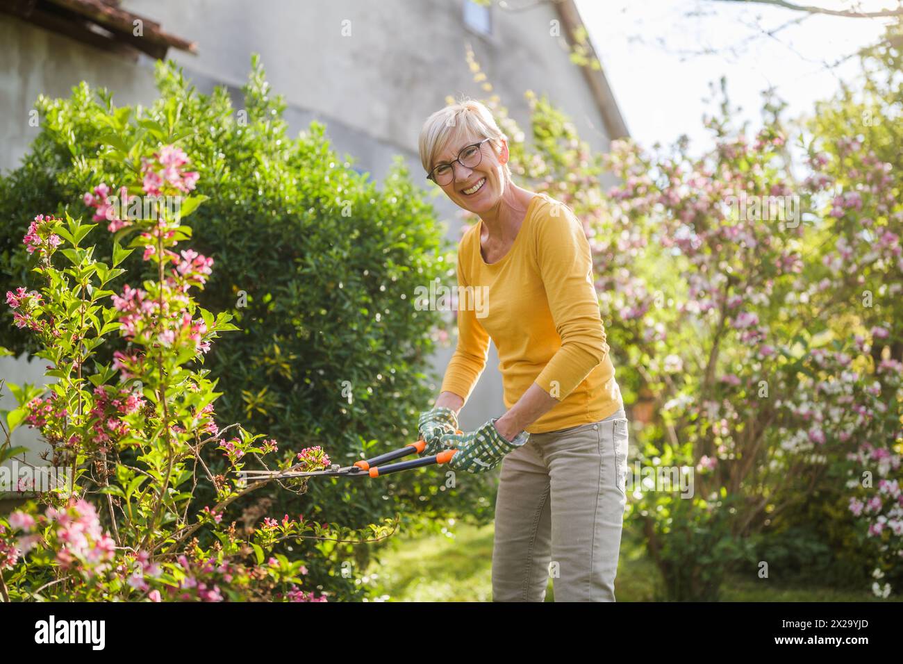 Happy senior woman gardening. She is pruning flowers Stock Photo - Alamy