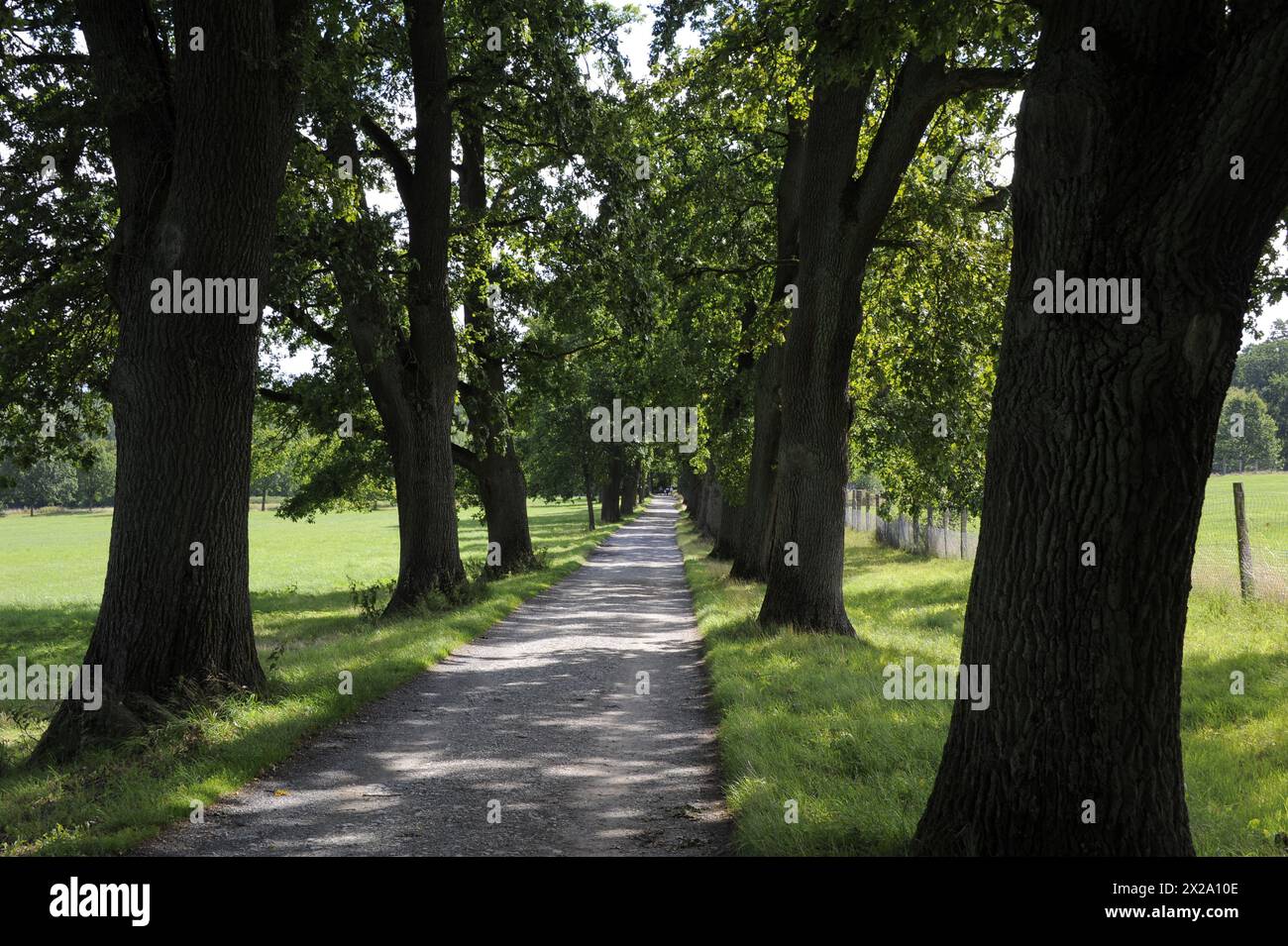 Tierpark Sababurg , green and relax areas Stock Photo - Alamy