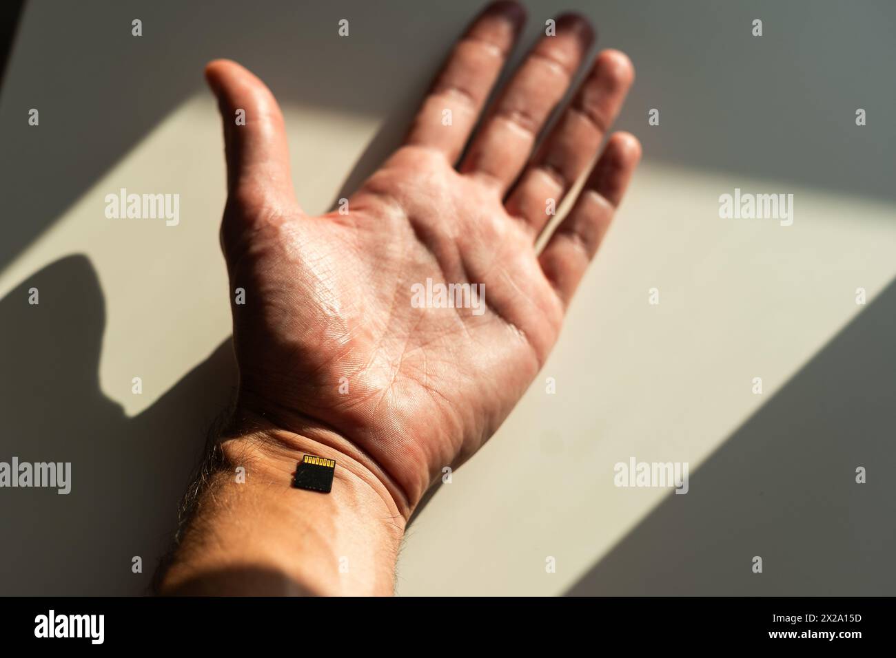 SD card Or memory card in hand concept of technology and in form of ...