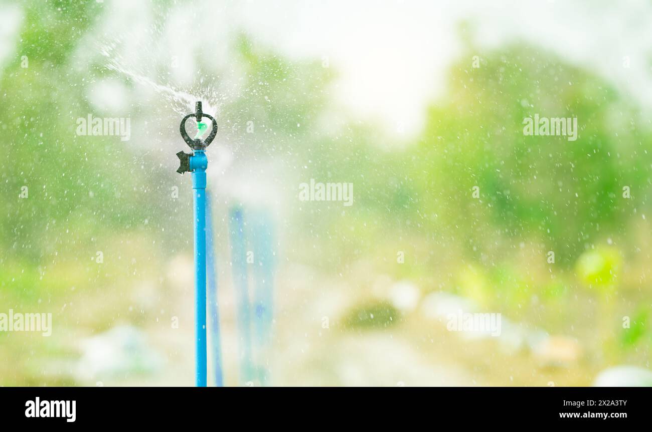 Automatic sprinkler watering green plant garden. Sustainable ...