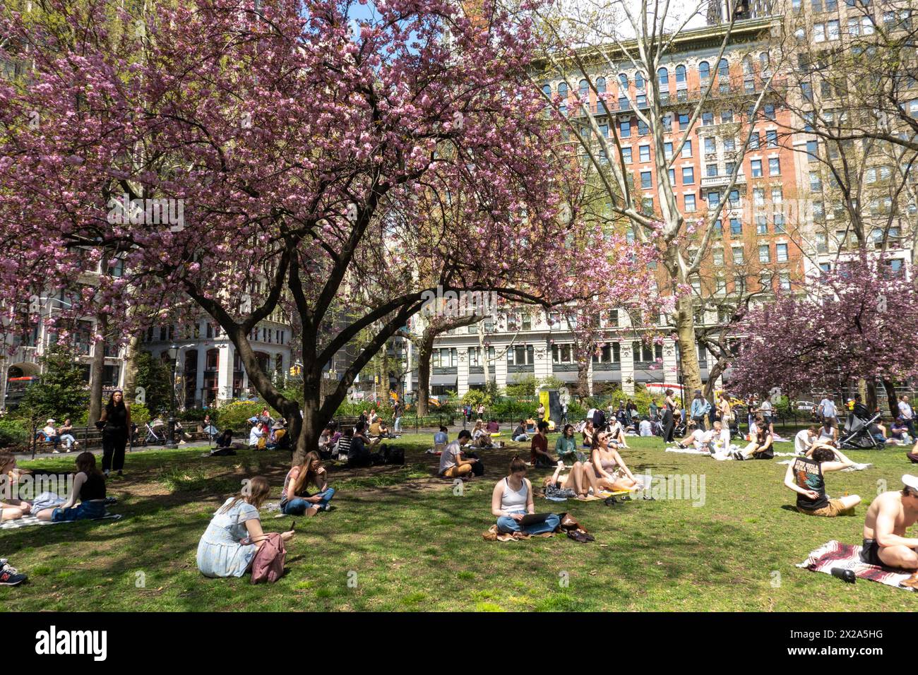 Madison Square Park in the springtime is an urban oasis for tourist and ...