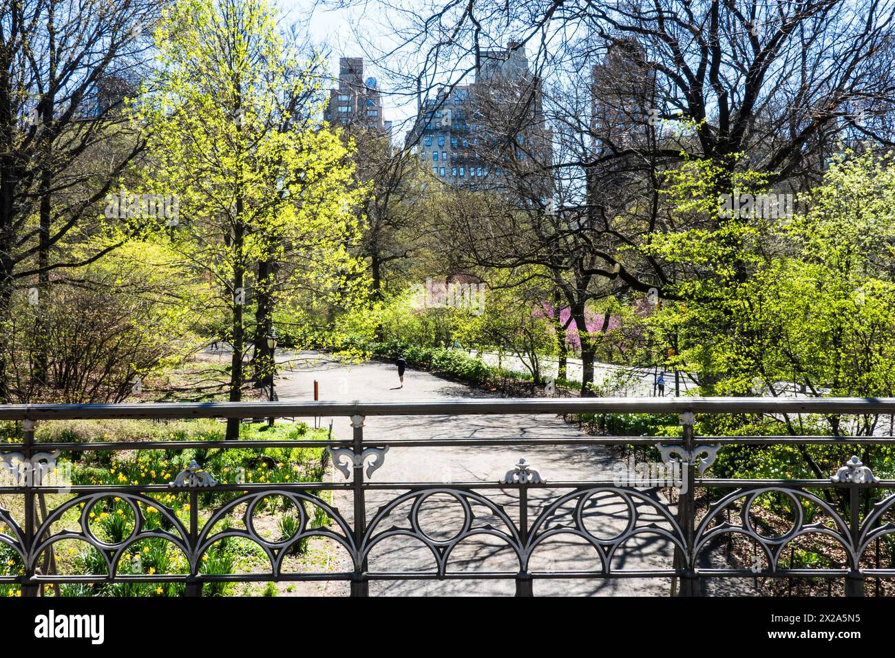 Springtime Central Park is a beautiful urban oasis in New York City ...