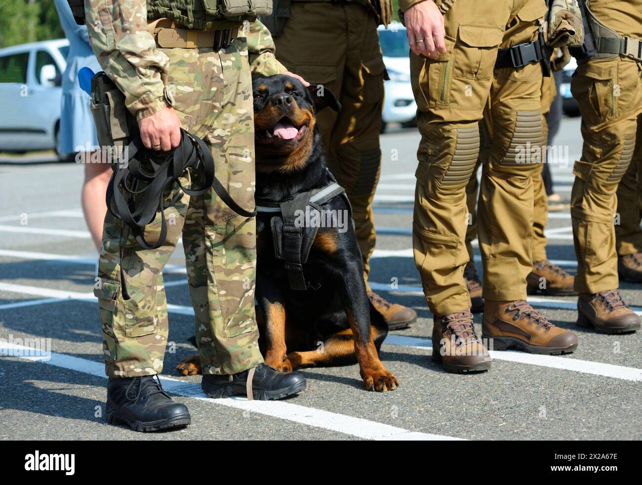 Soldiers of KORD (police special forces), and police dog standing in ...