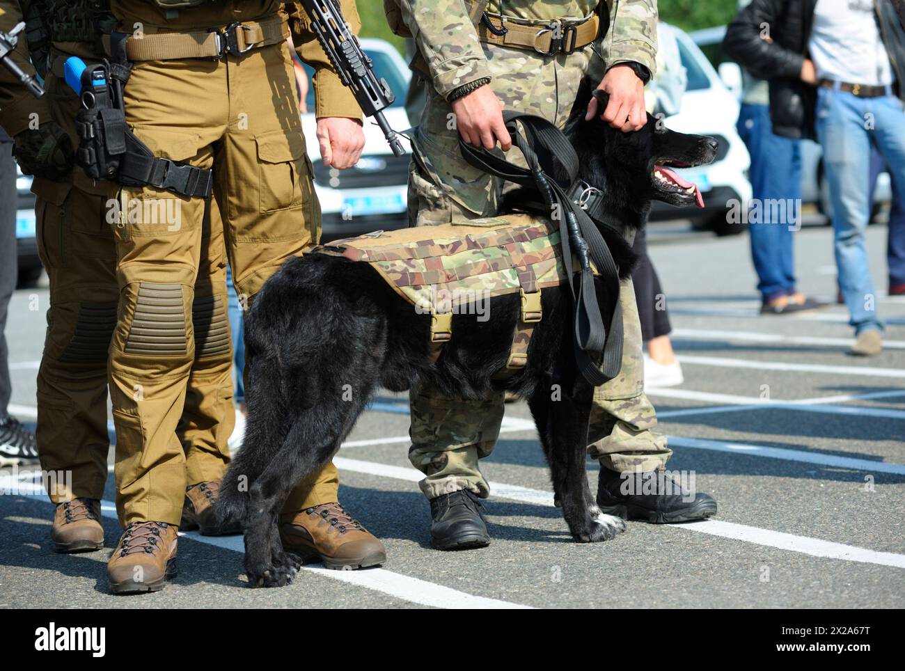 Military cord handling hi-res stock photography and images - Alamy