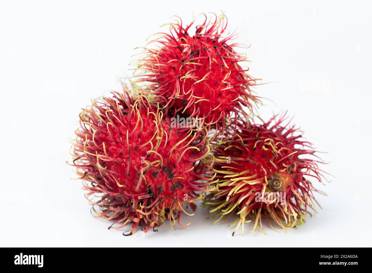 Close up of group rambutan fruits isolated on white studio background ...