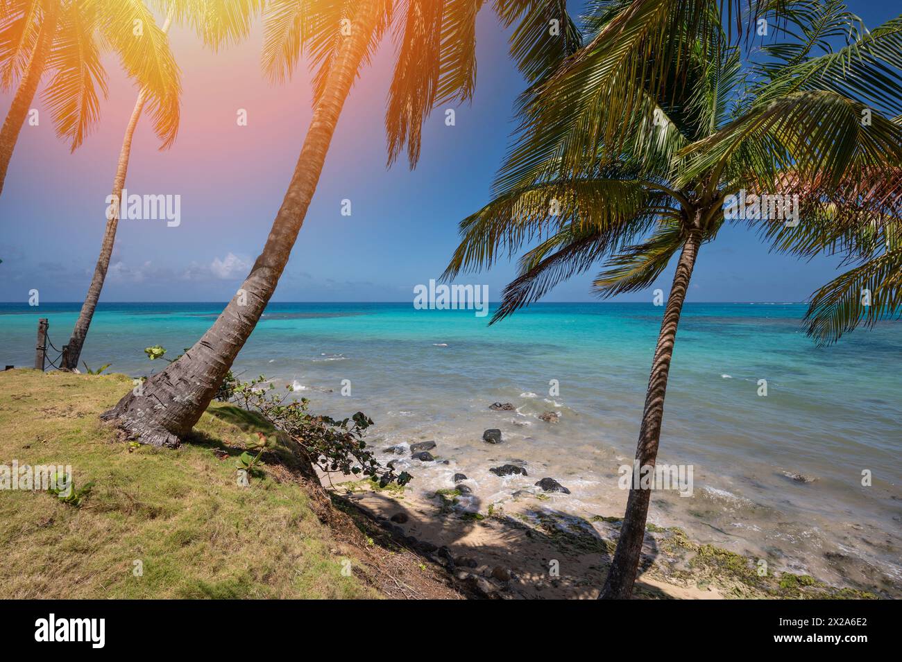 Caribbean blue sea background. Tropical coastline in island Stock Photo ...