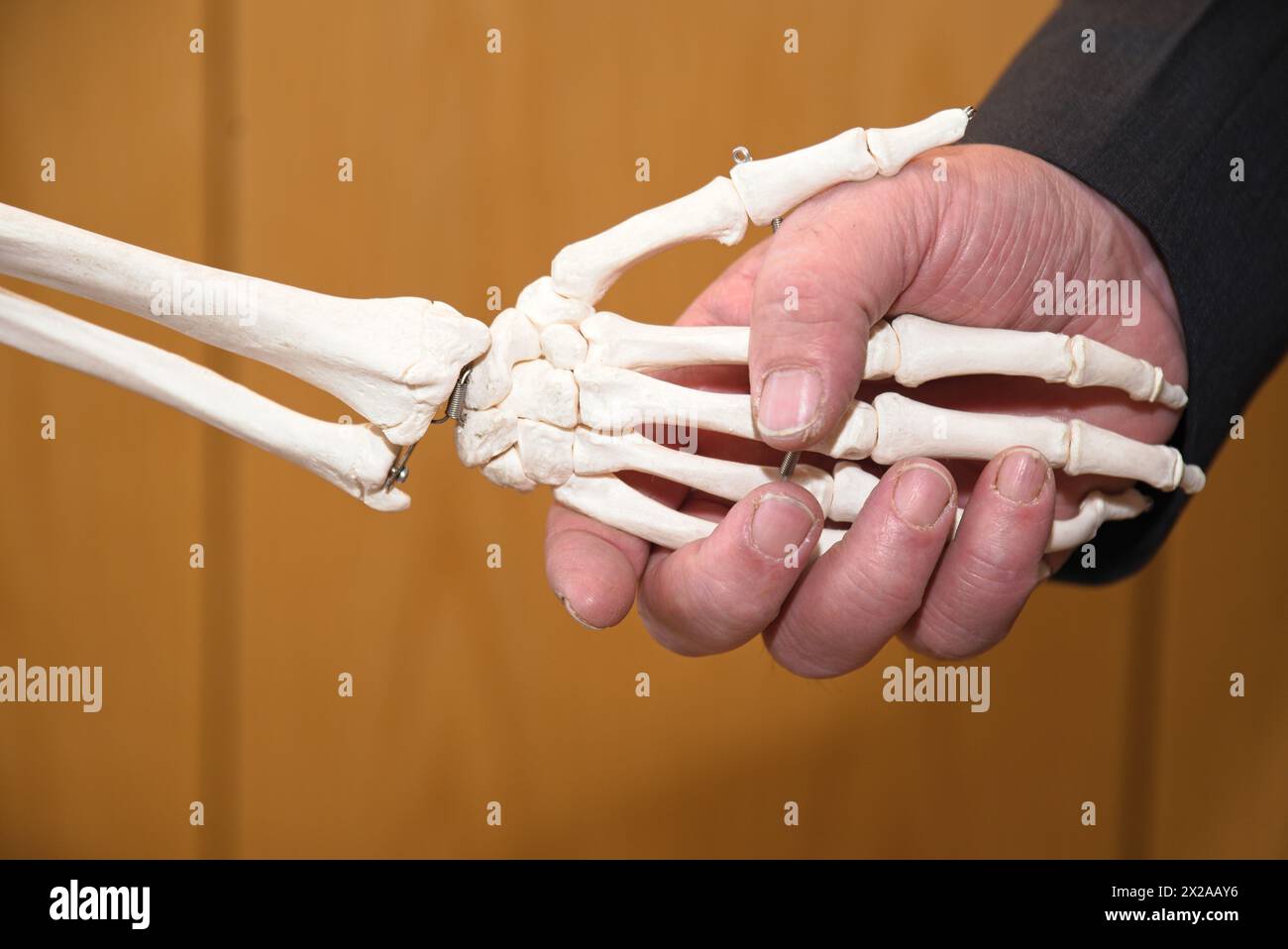 Skeleton Hand Shake