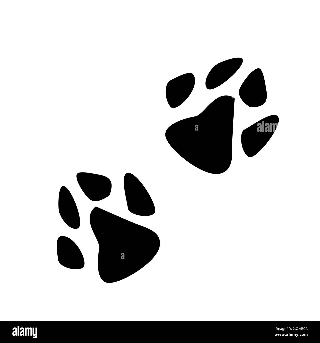 Wolf Paw Print Design