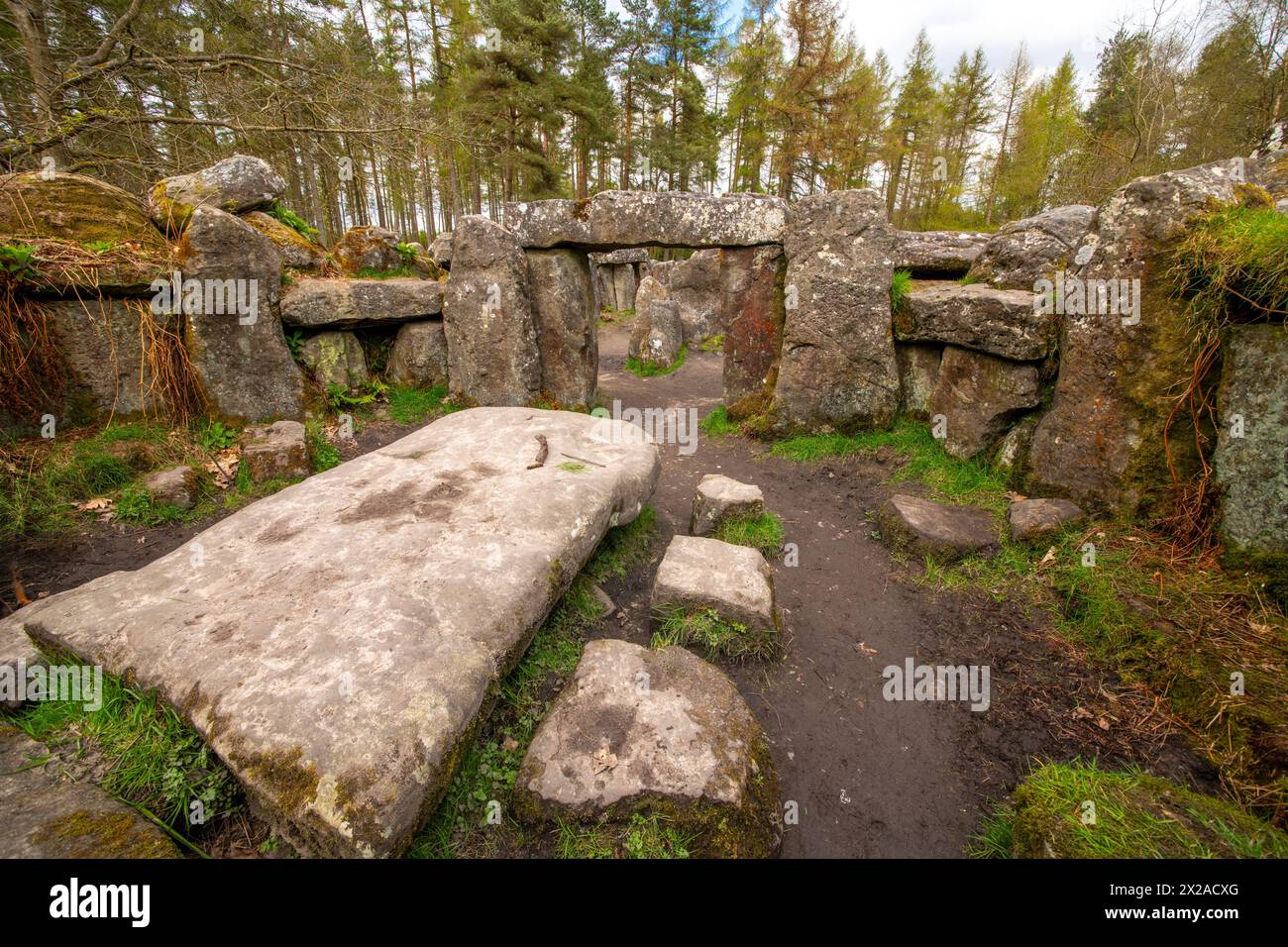 The druid’s temple hi-res stock photography and images - Alamy