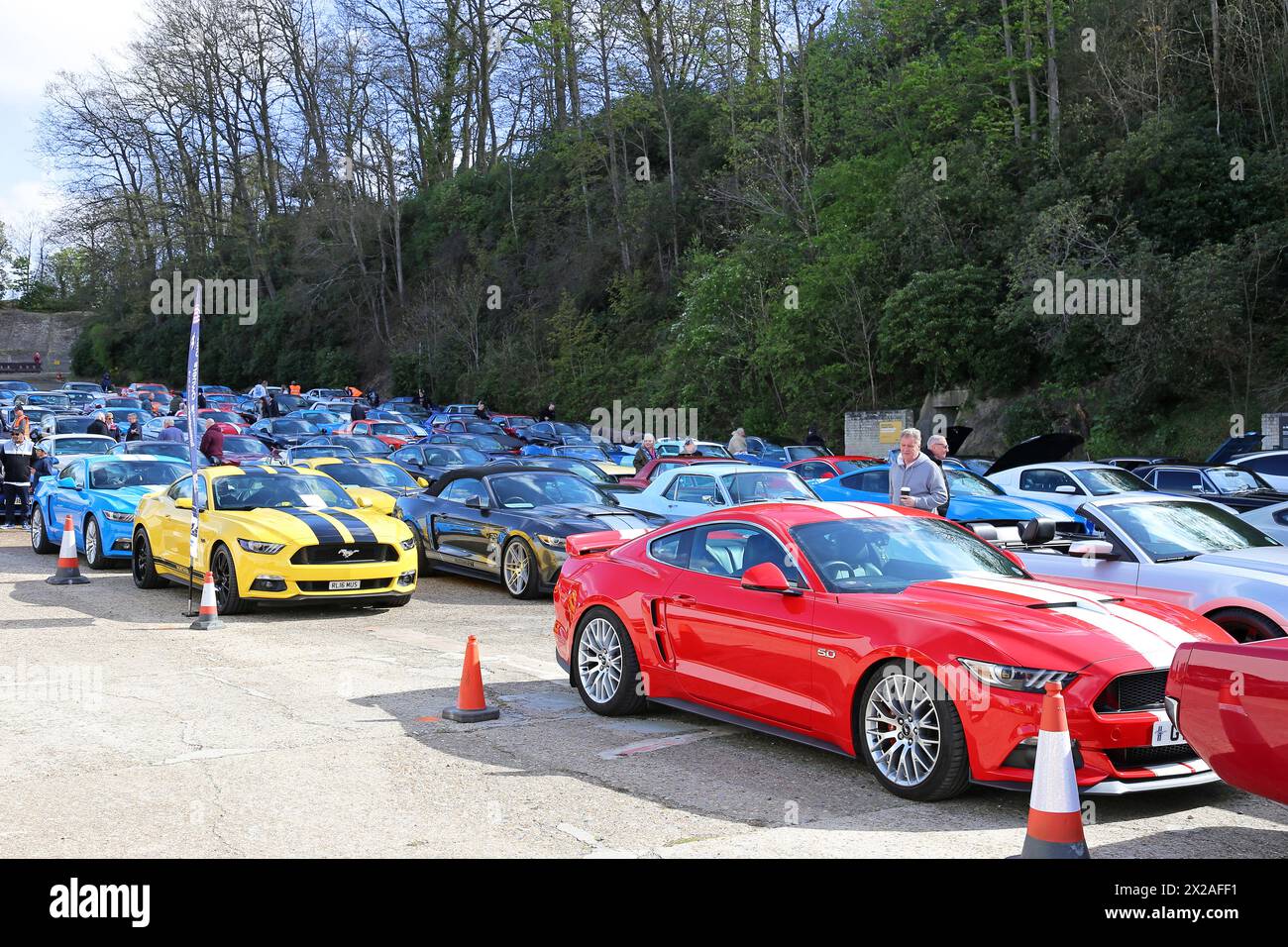 Hundreds of Ford Mustangs on the Finishing Straight, Mustang 60, 20th ...