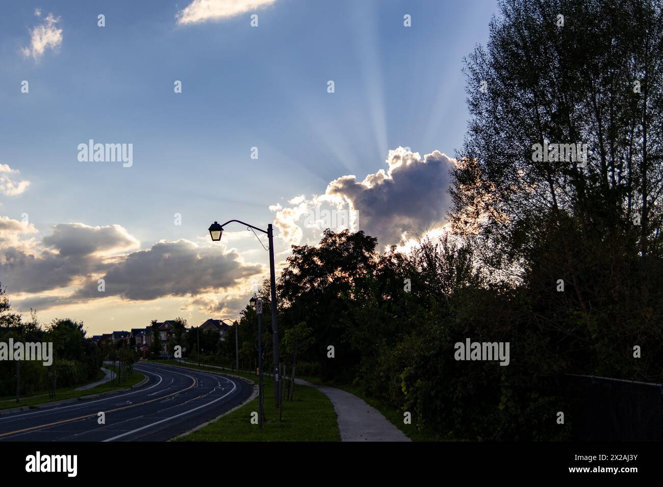 Sunset silhouette - streetlamp, trees, and clouds backlit - winding ...