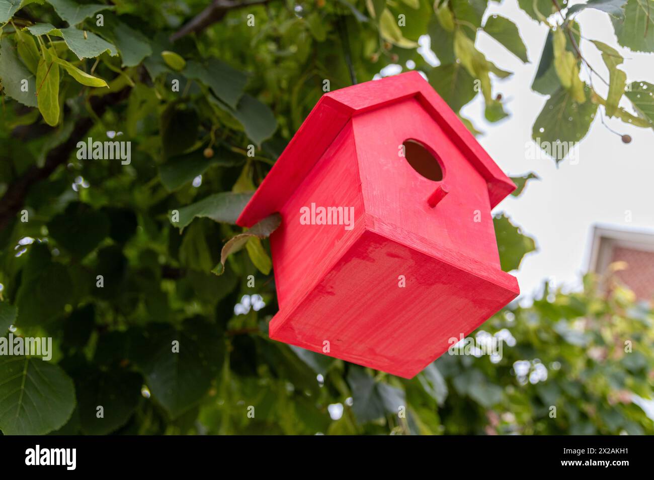 Bright red birdhouse - nestled among vibrant green leaves. Taken in ...
