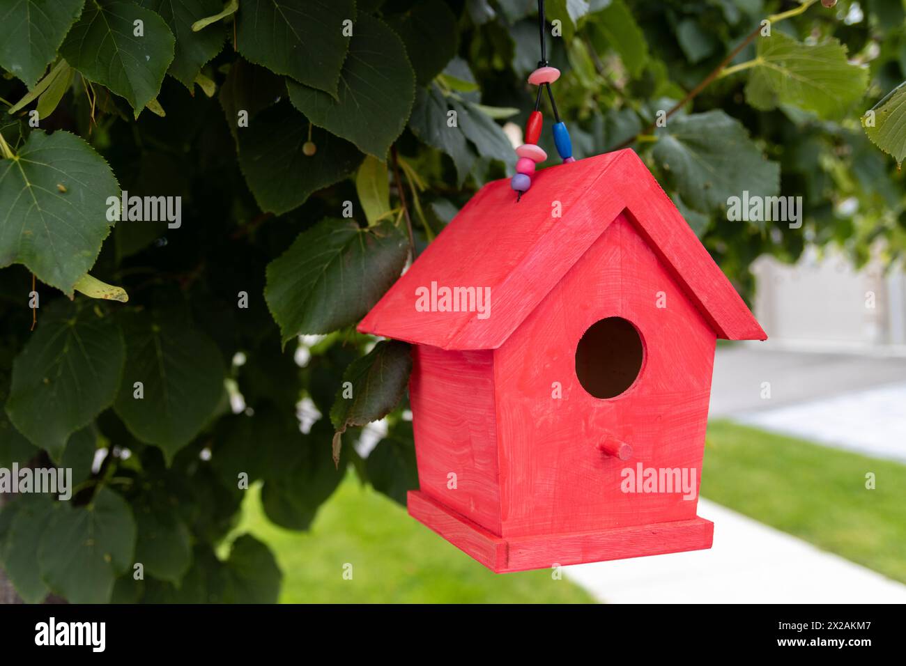 Bright red birdhouse - nestled among vibrant green leaves. Taken in ...