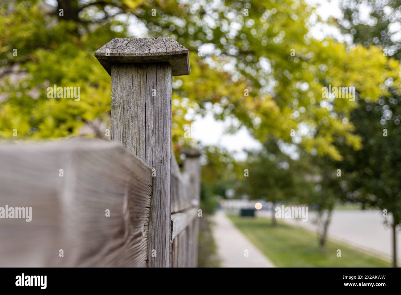 Weathered wooden fence post - close-up - blurred greenery and sidewalk ...
