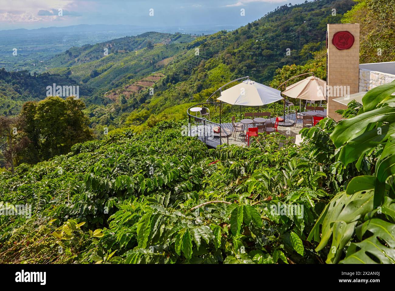 Terrace, Hacienda San Alberto, Cafetal, Coffee plantations, Coffee Cultural Landscape ...