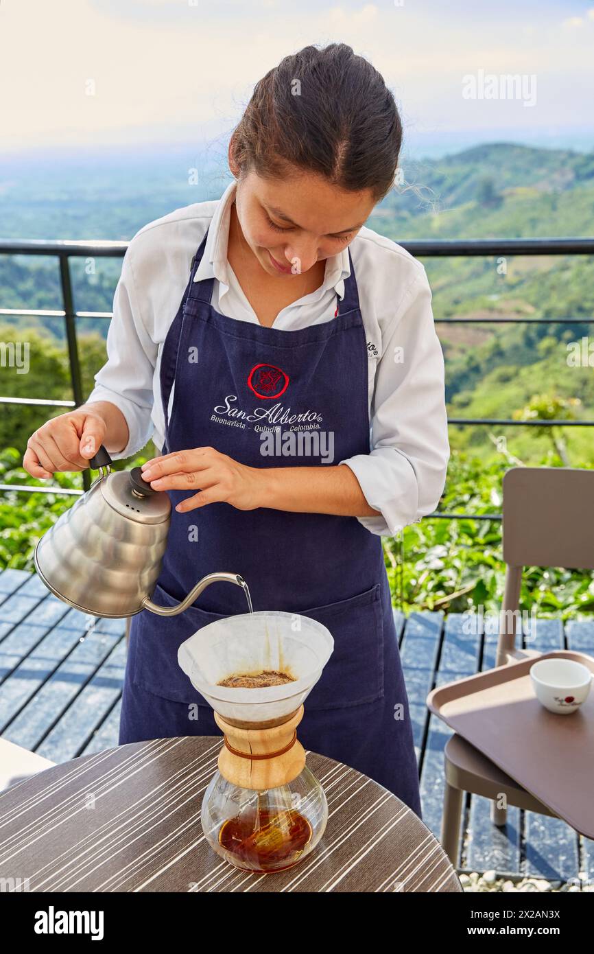 Hacienda San Alberto, Cafetal, Coffee plantations, Coffee Cultural ...