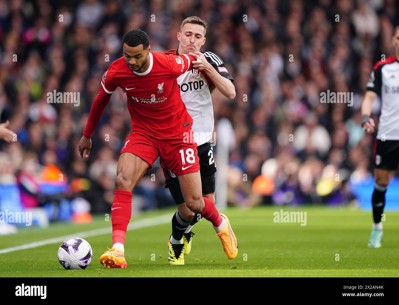 Cody gakpo liverpool 2024 hi-res stock photography and images - Alamy