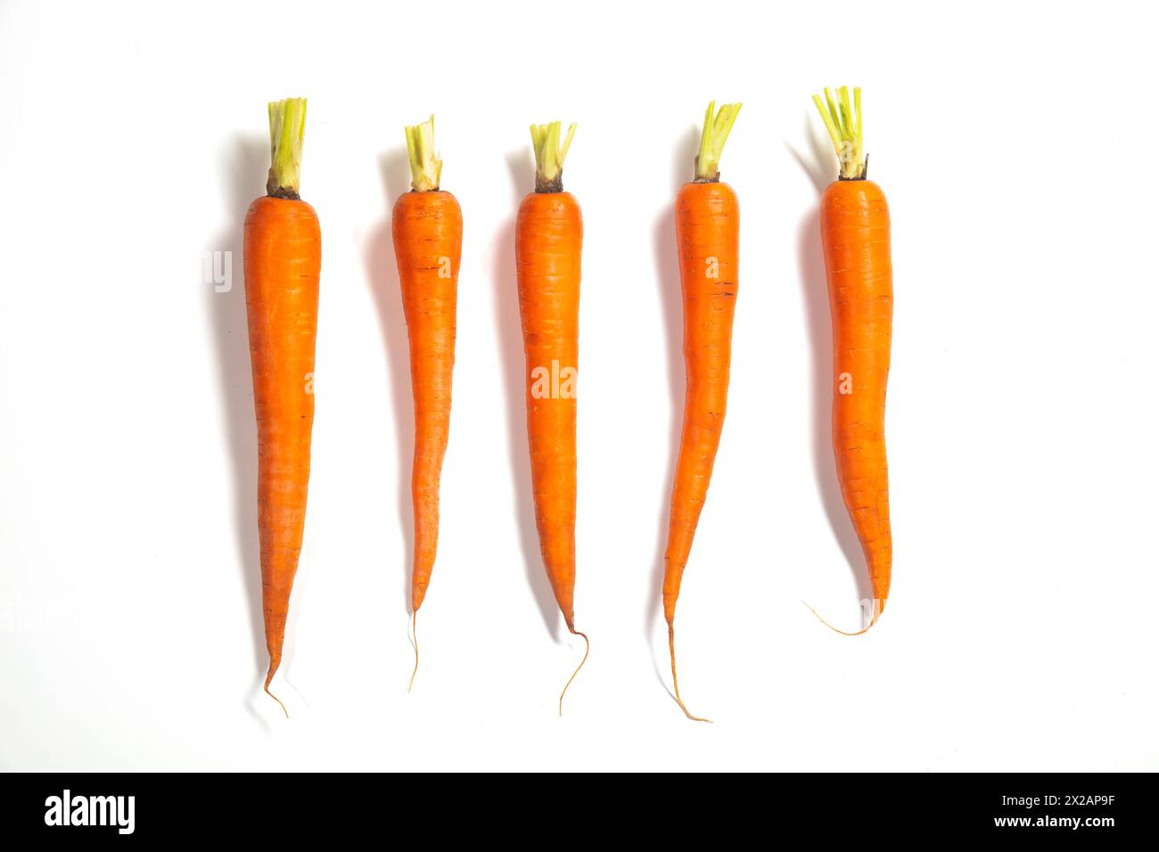 three ripe fresh carrots on a plain white background with shadowing ...