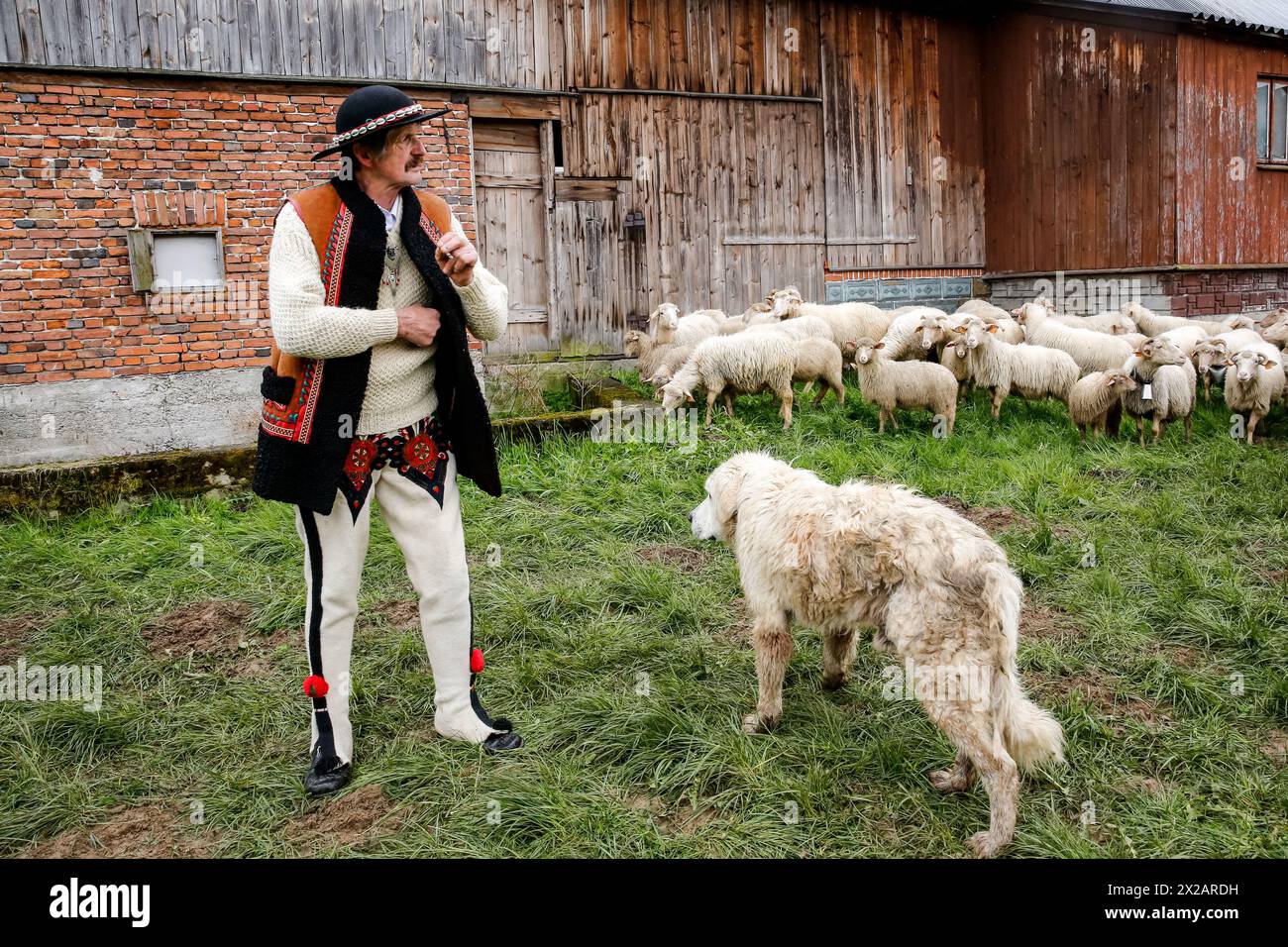Shepherds watch their flock hi-res stock photography and images - Alamy