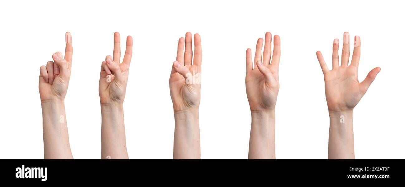 Fingers counting from one to five digits numbers, hand gesture isolated on white background ...