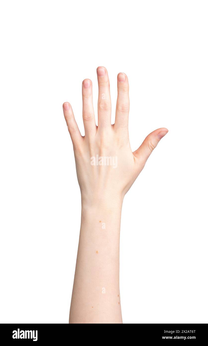 Hand up, gesture, five fingers isolated on white background Stock Photo ...