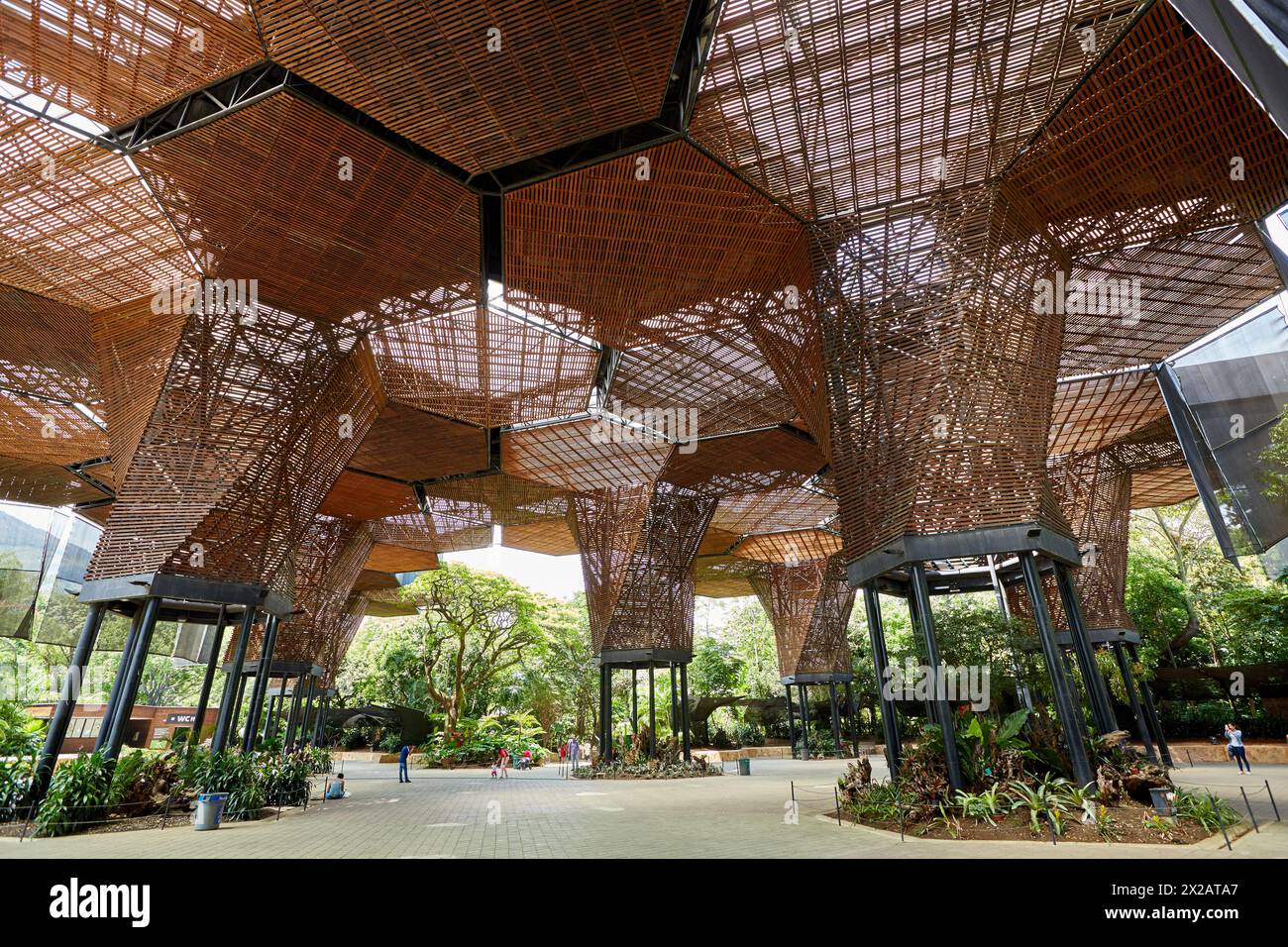 Orquideorama Jose Jeronimo Triana, Jardin Botanico, Medellin, Antioquia ...