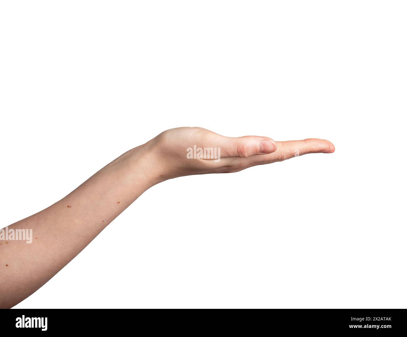 Showing something empty, blank, space on hand palm gesture isolated on ...