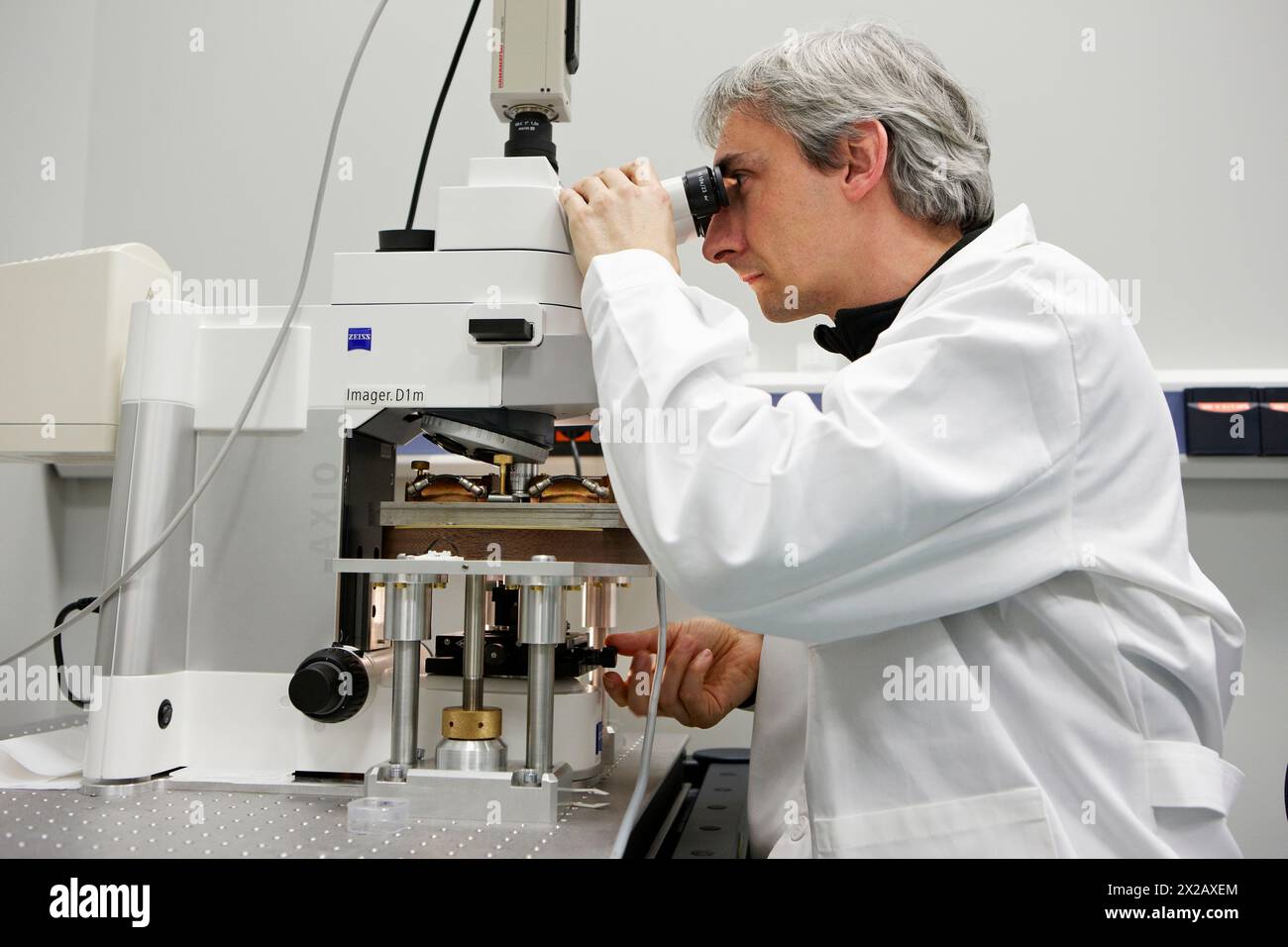 Using a Kerr microscope to visualize the magnetic domain structure of a ...